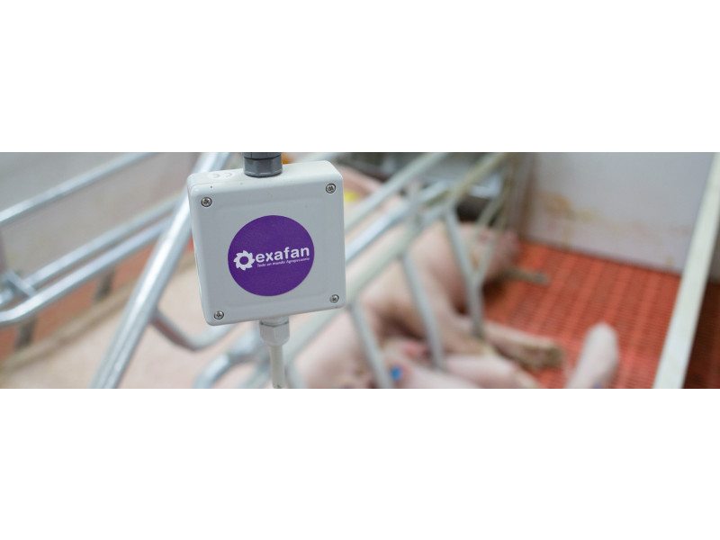 Sensores de temperatura | Exafan